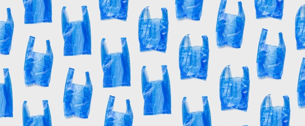 Poly Bag vs. Plastic Bag: Which Is Best for Your Business