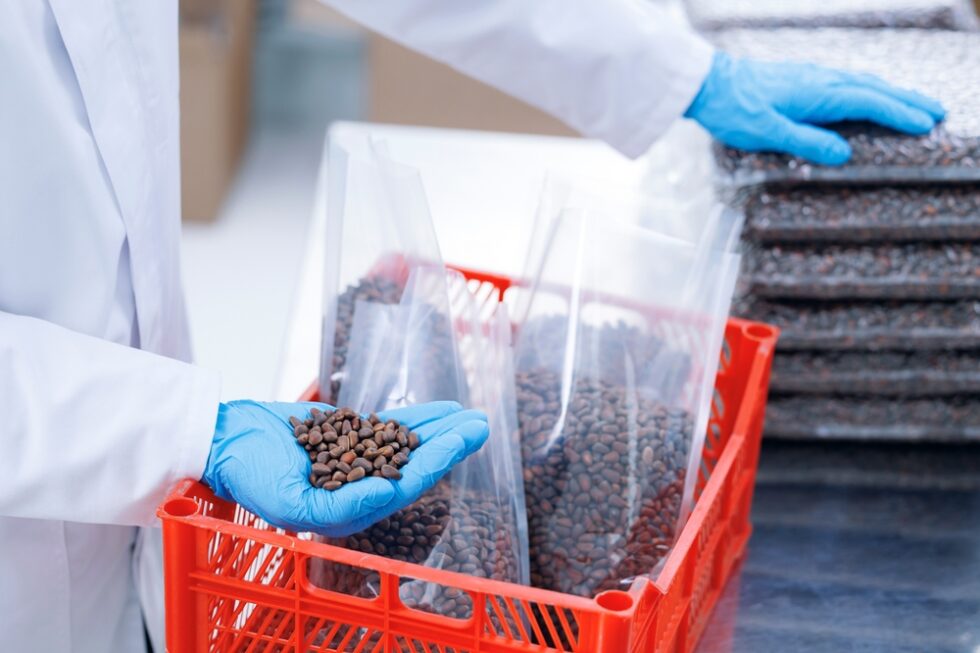 Flexible Food Packaging: How Polymers Protect Freshness